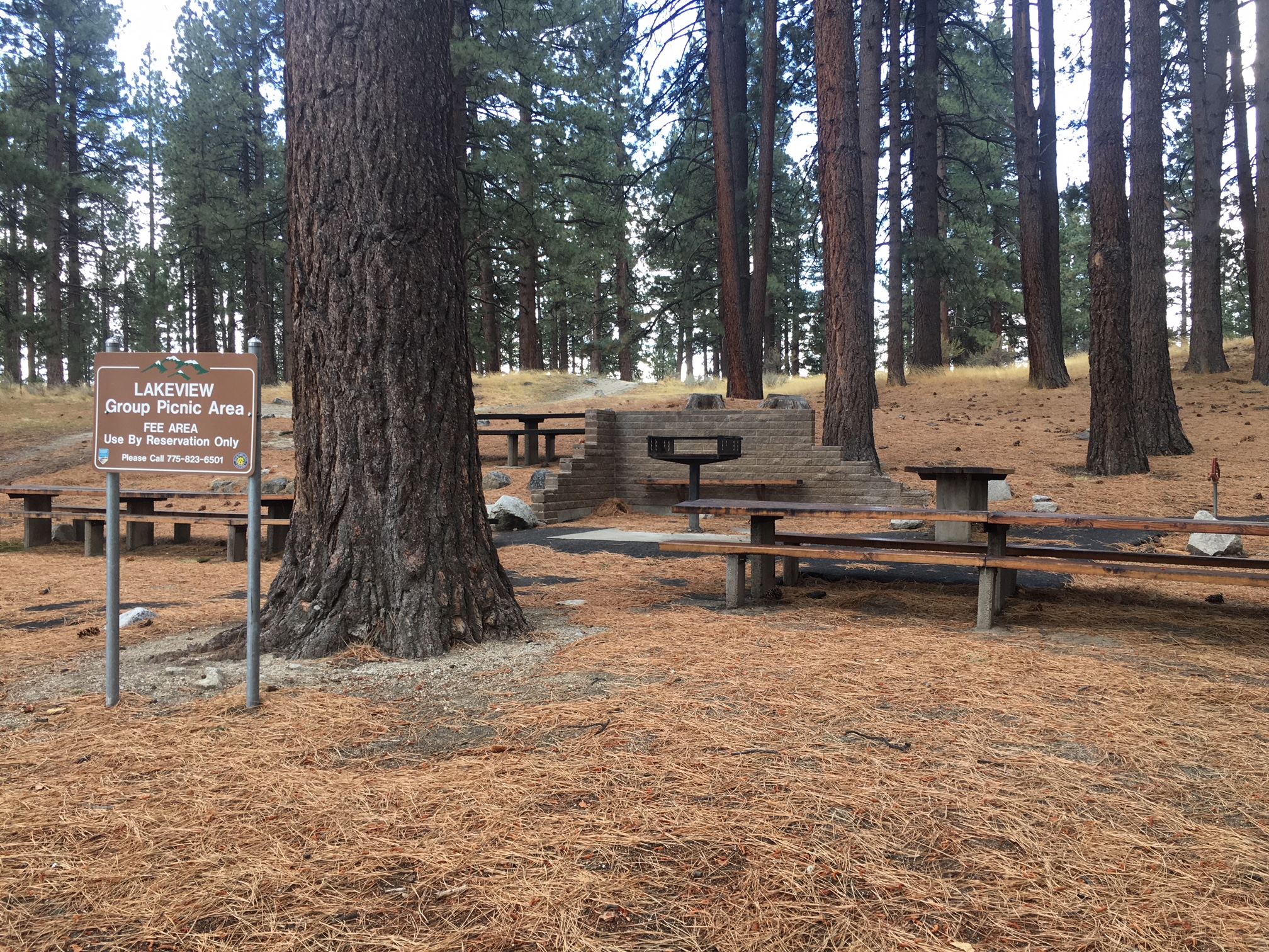 Lakeview Group Picnic Area