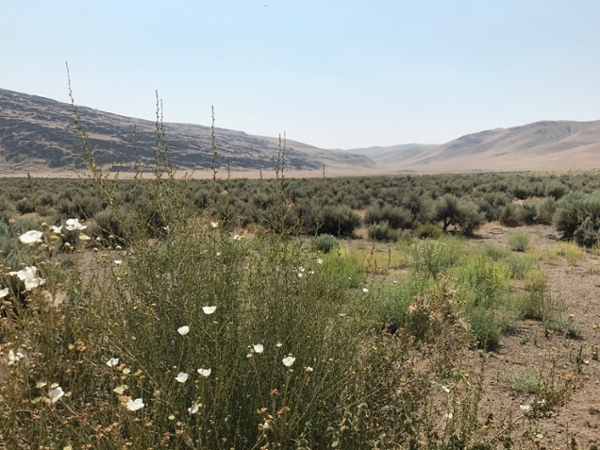 Pah Rah Interpretive Trail