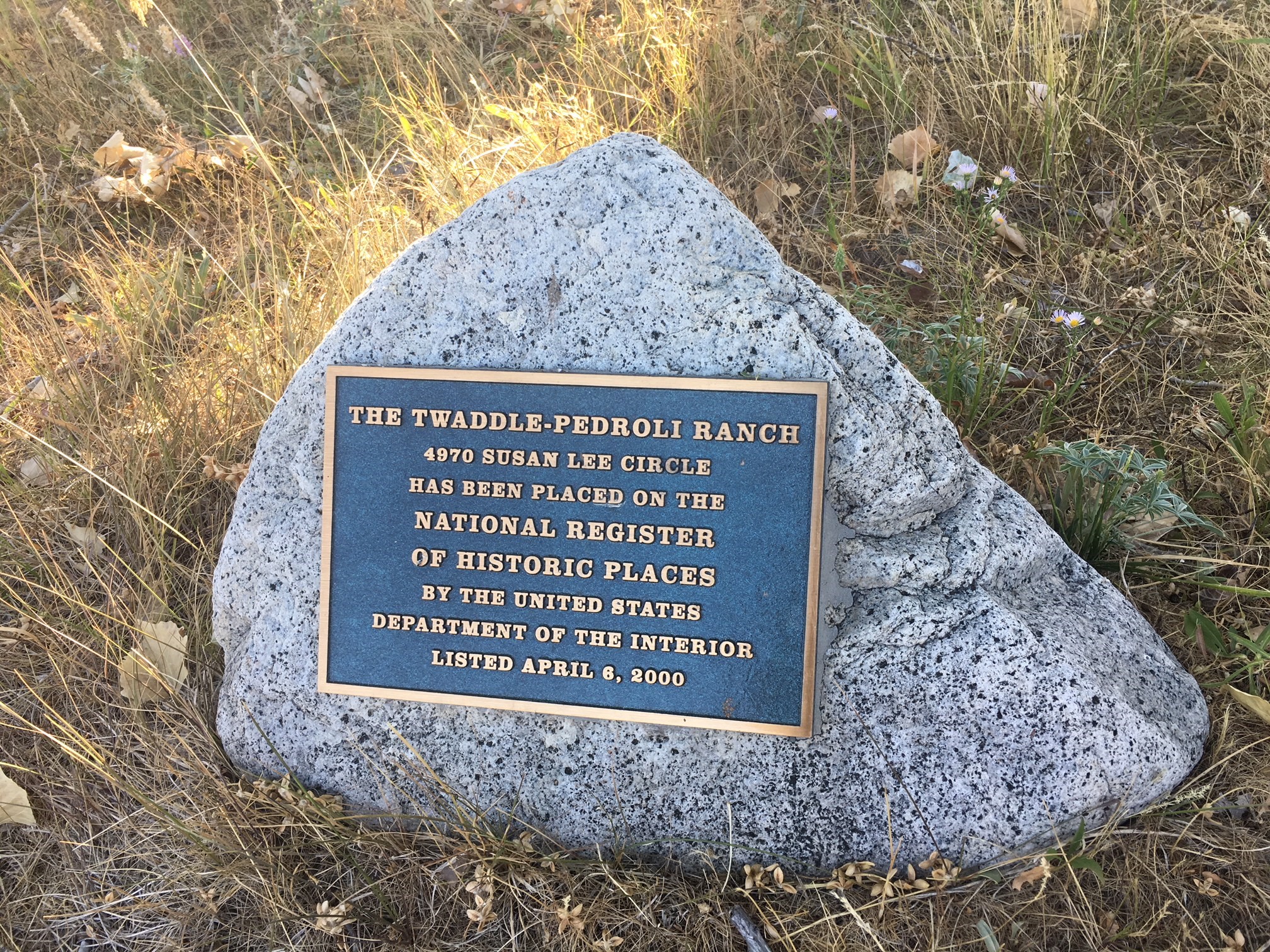 Wilson Commons Park