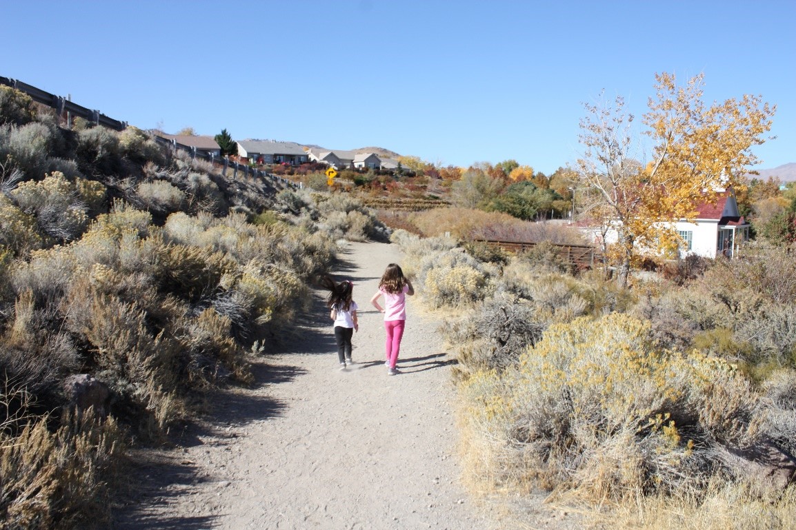 Bartley Ranch Regional Park and Anderson Park Trails